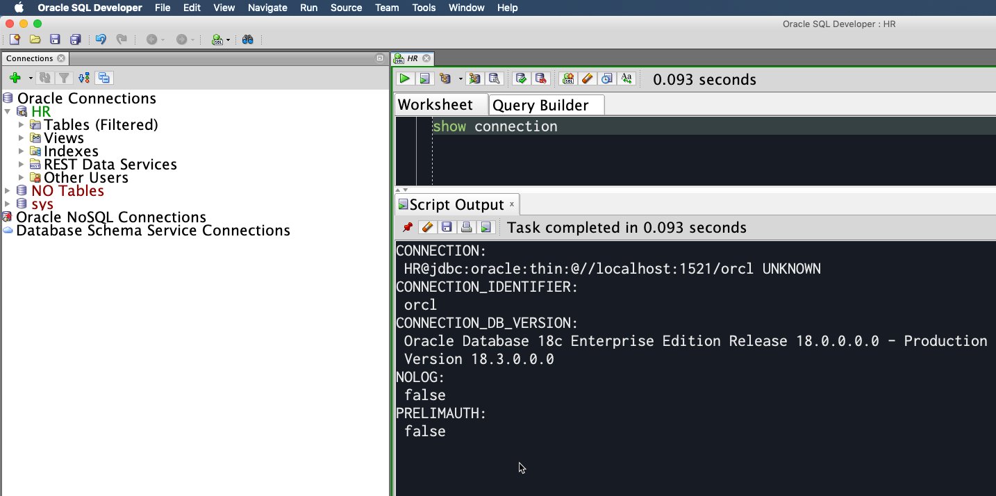 How To Get The JDBC Custom Connection URL From SQL Developer 